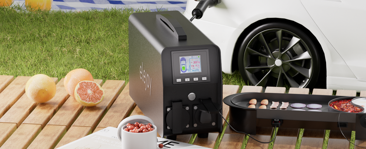 3000W Tesla V2L Power Discharger – elejoy